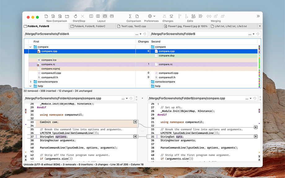Araxis Merge – Advanced 2 & 3-way file comparison (diff), merging and ...