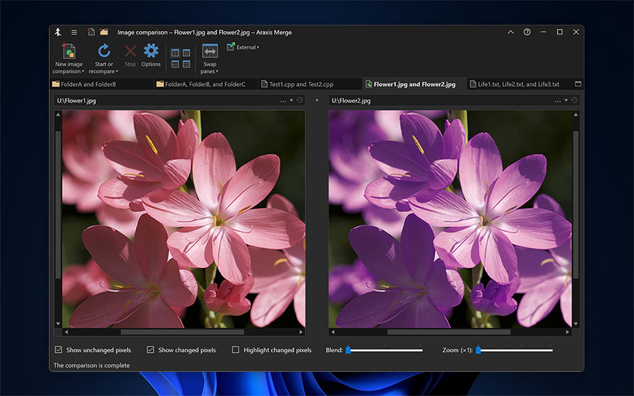 Araxis Merge – Advanced 2 & 3-way file comparison (diff), merging and folder synchronization